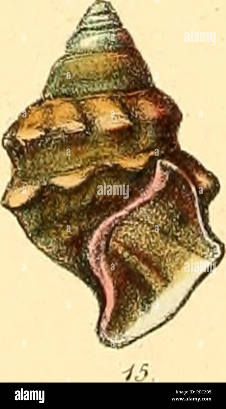 Brook vincent hi-res stock photography and images - Alamy