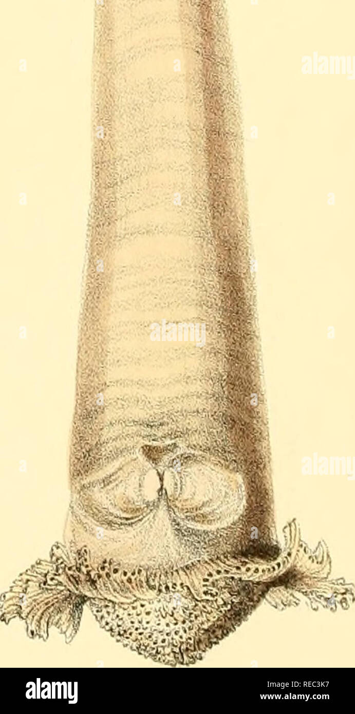 Vincent brook hi-res stock photography and images - Alamy