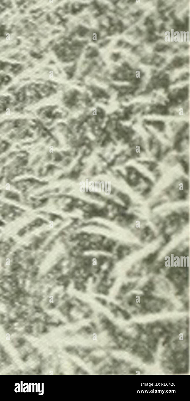 Soil drifting hi-res stock photography and images - Alamy