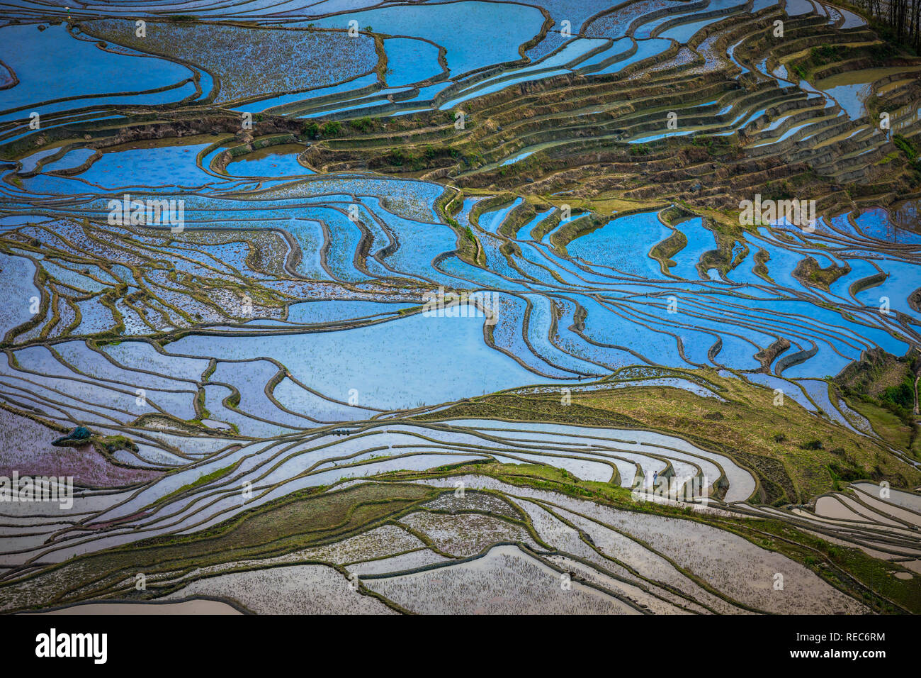 Yuanyang County (simplified Chinese: 元阳县; traditional Chinese: 元陽縣) is ...
