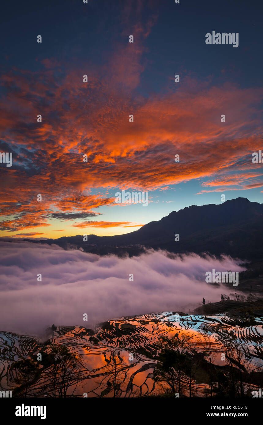 Yuanyang County (simplified Chinese: 元阳县; traditional Chinese: 元陽縣) is ...