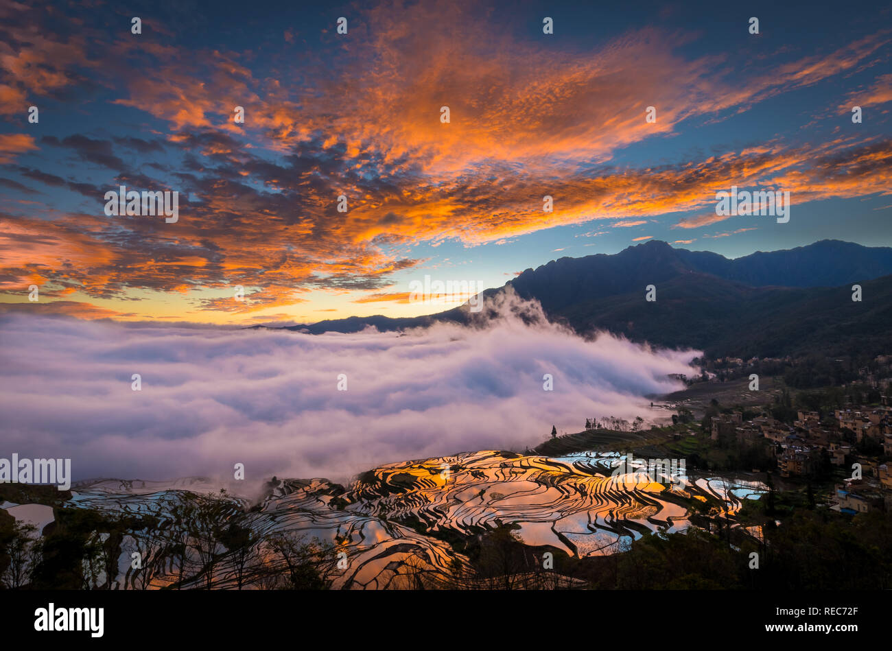 Yuanyang County (simplified Chinese: 元阳县; traditional Chinese: 元陽縣) is ...