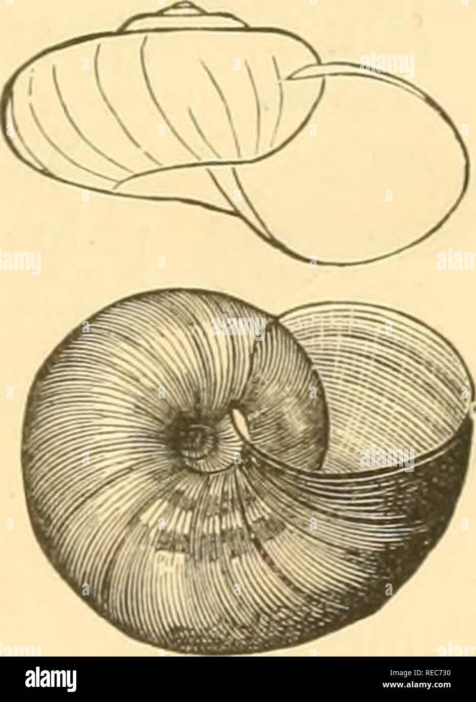 Nate chester hi-res stock photography and images - Alamy