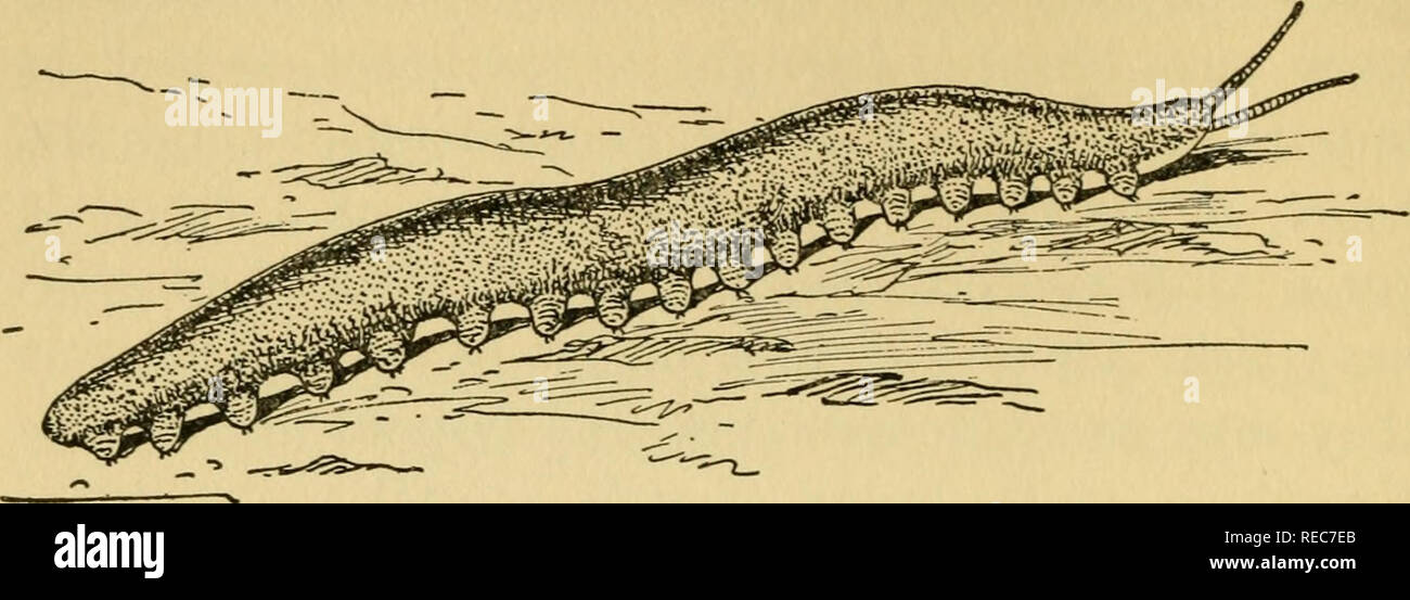 Synthetic evolution hi-res stock photography and images - Alamy