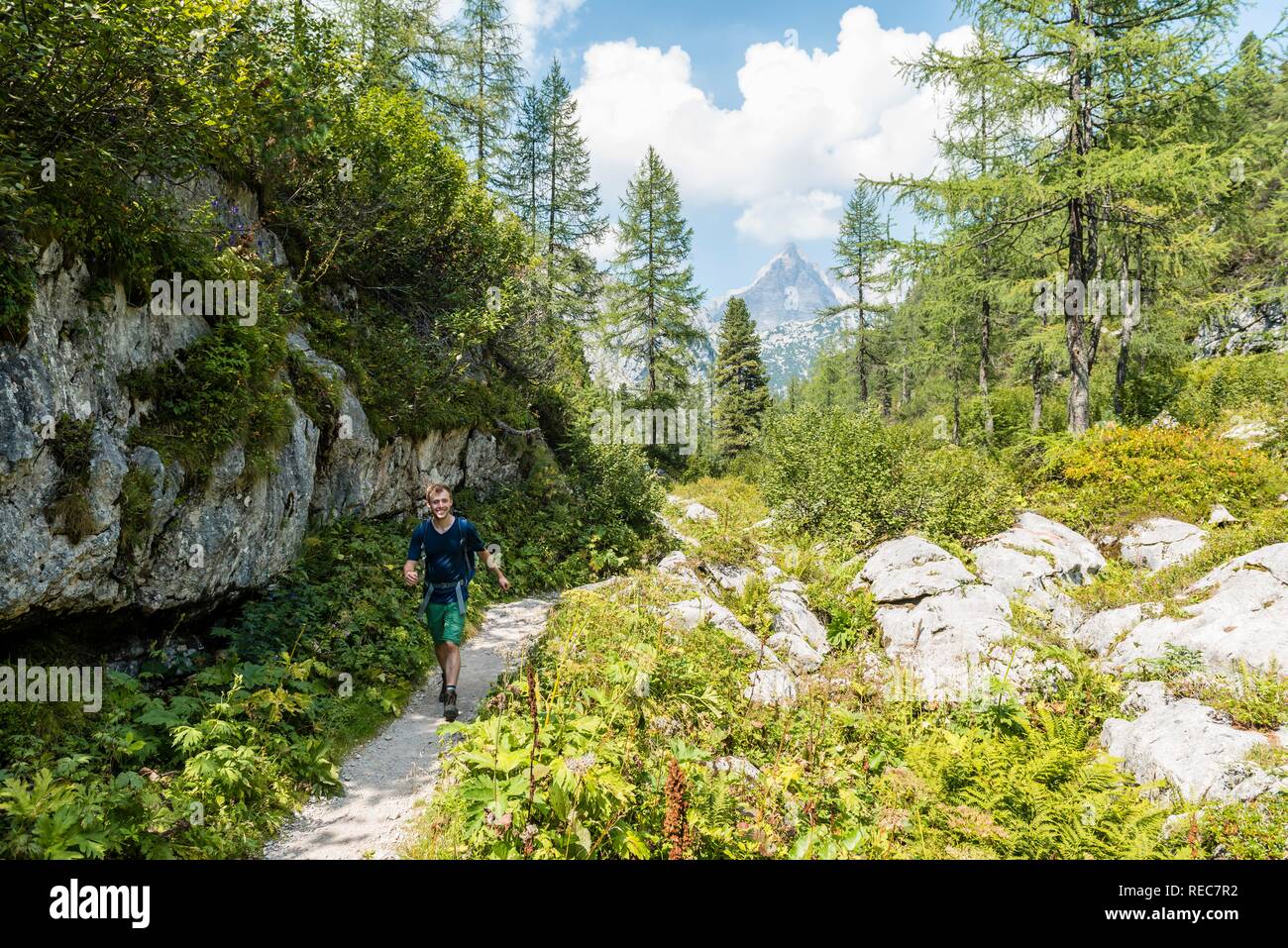 Hiker on hiking trail to Kärlingerhaus, Watzmann in the back ...