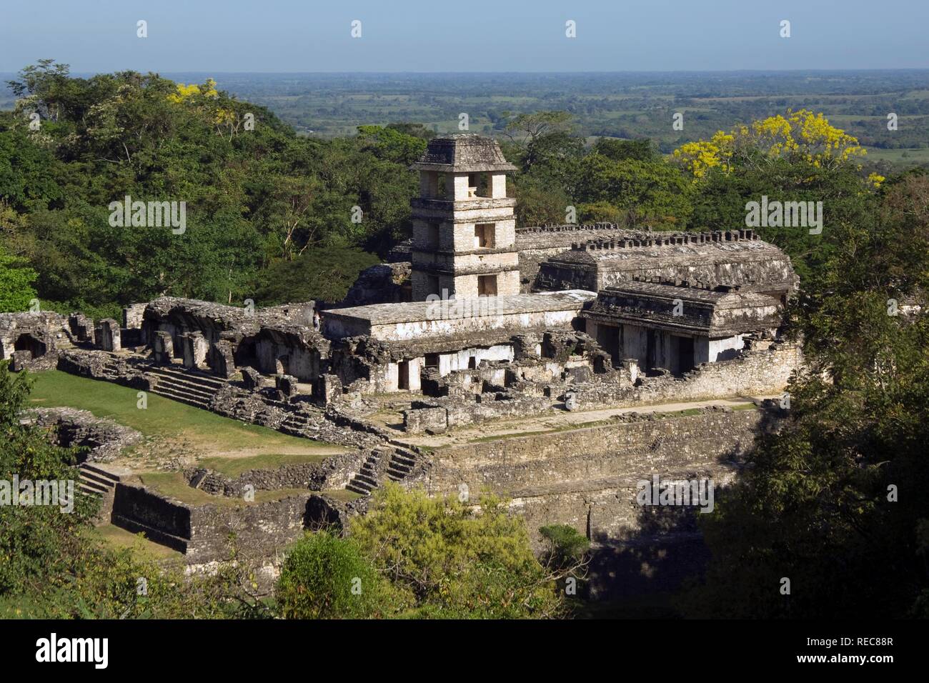 Palenque, The Palace, UNESCO World Heritage Site, Yucatan, Mexico Stock ...