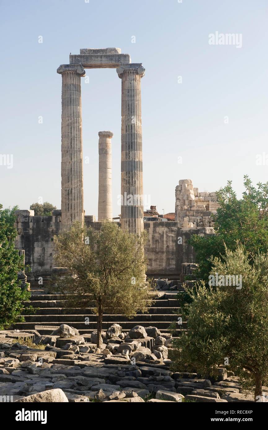 Apollo temple, Ionian columns, Didyma, Turkey Stock Photo - Alamy