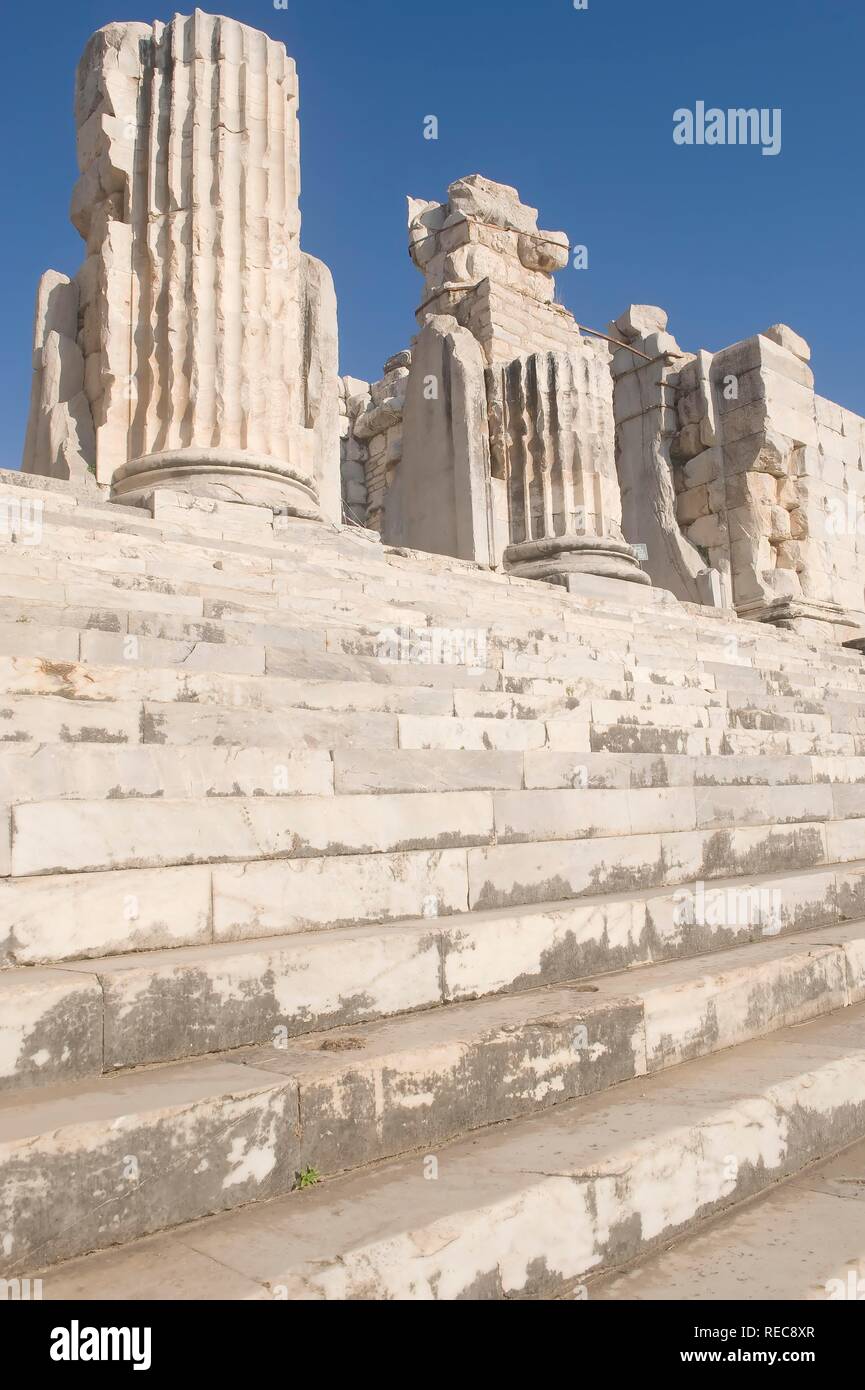 Apollo temple, Ionian columns, Didyma, Turkey Stock Photo - Alamy