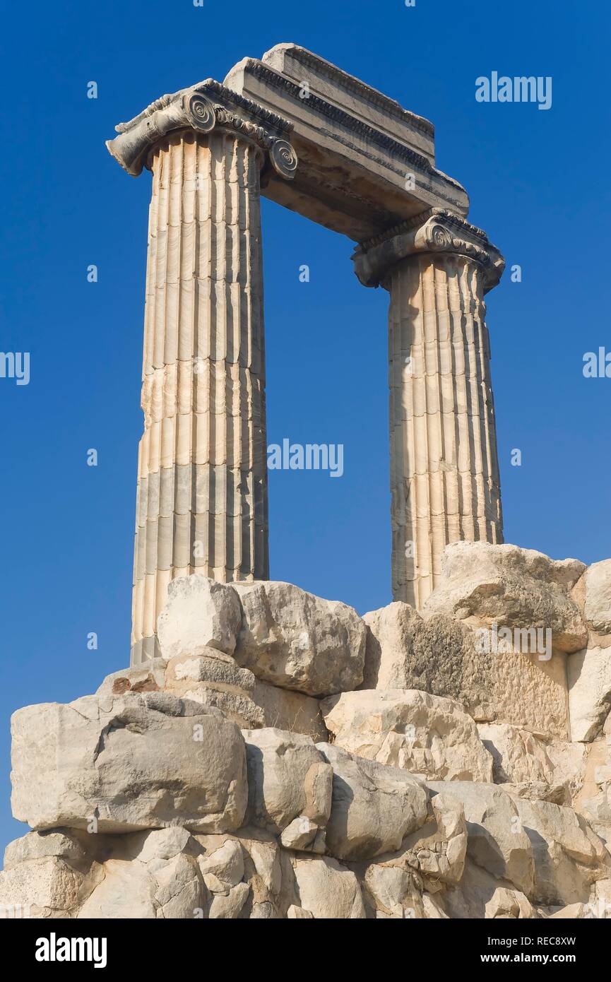 Apollo temple, Ionian columns, Didyma, Turkey Stock Photo - Alamy