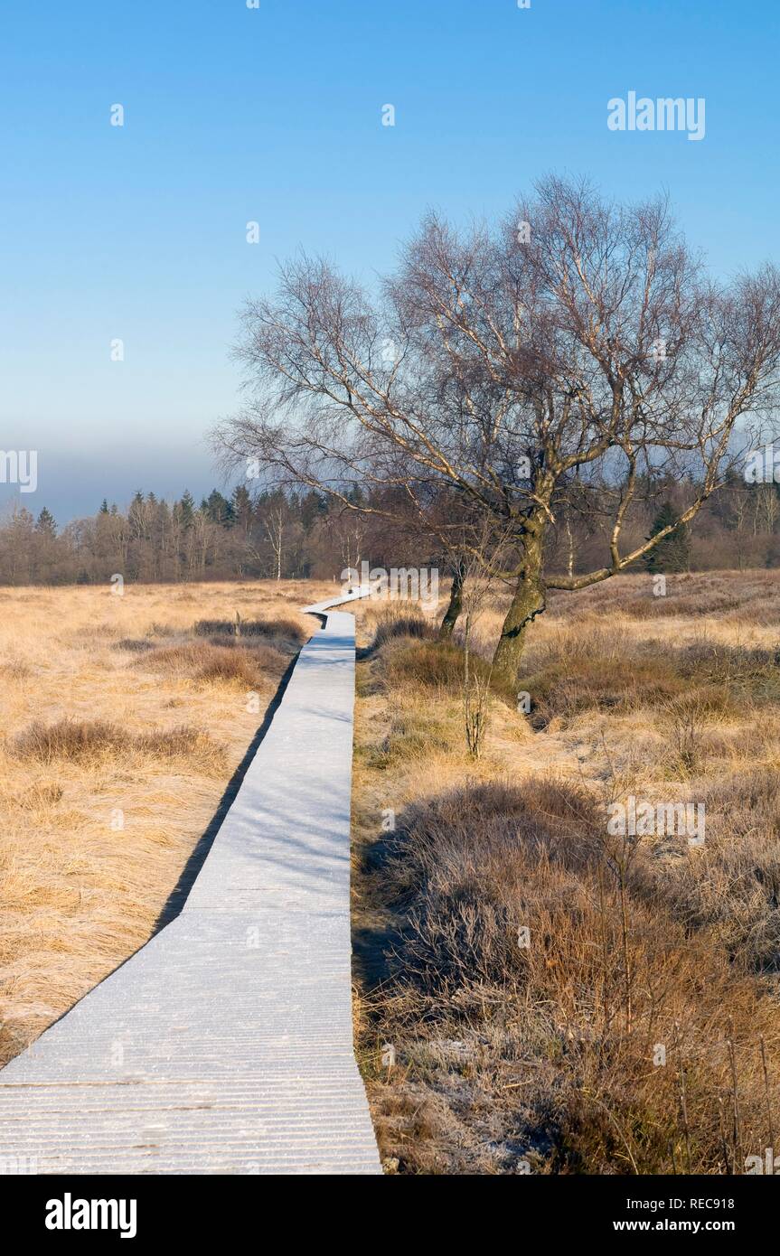 Hautes fagnes nature reserve hi-res stock photography and images - Alamy