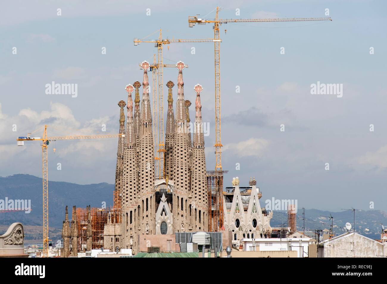 Bell towers and scaffoldings, La Sagrada Família or Expiatory Temple of ...