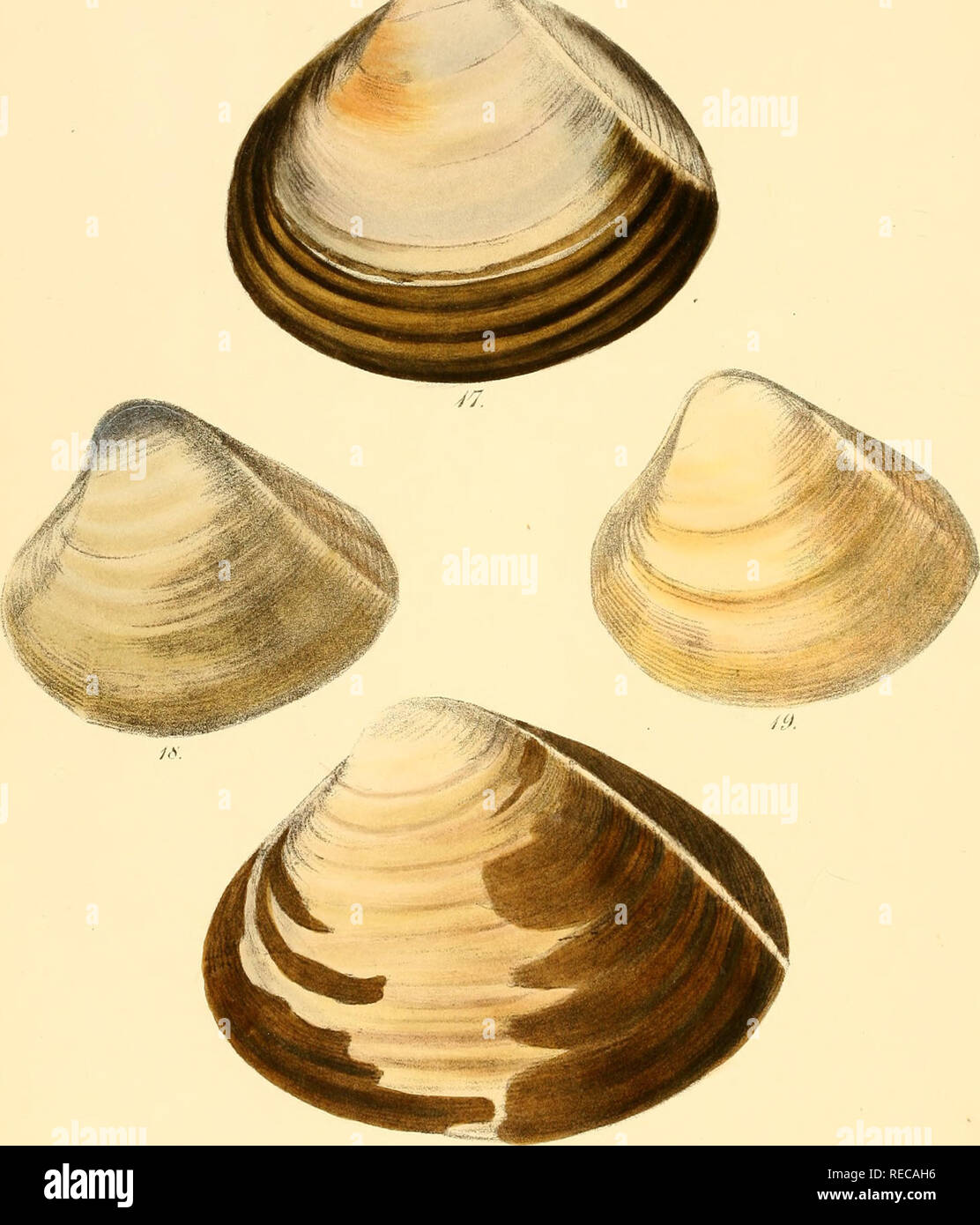 Map of sowerby hi-res stock photography and images - Alamy