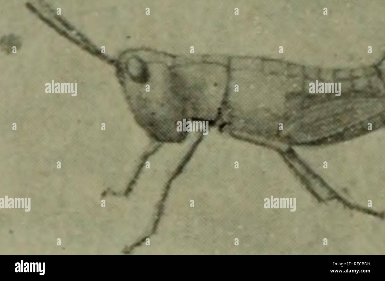 Ct de abdomen hi-res stock photography and images - Alamy