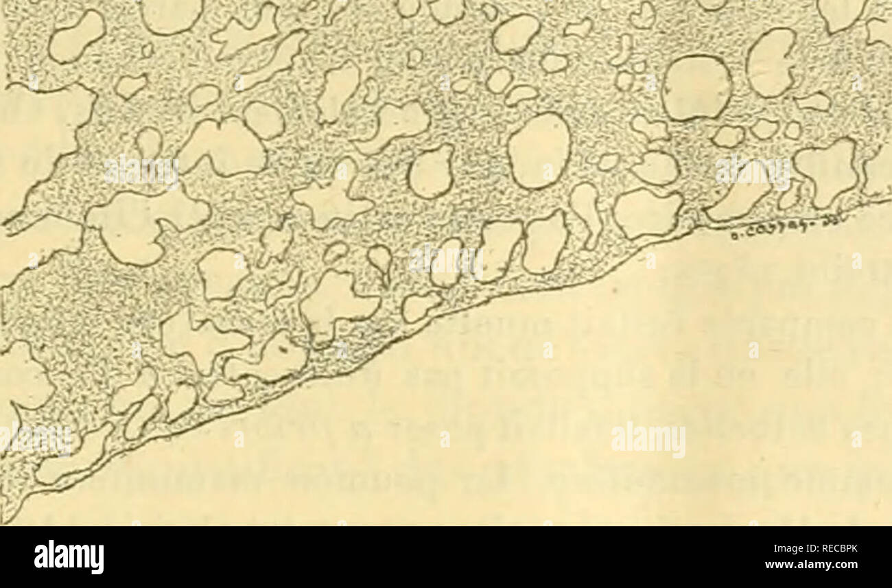 Scissure High Resolution Stock Photography and Images - Alamy