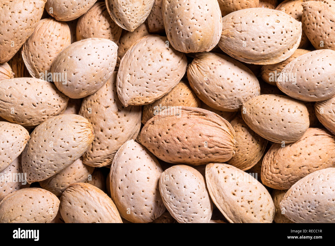 Almonds in a shell background, close-up, top view Stock Photo - Alamy