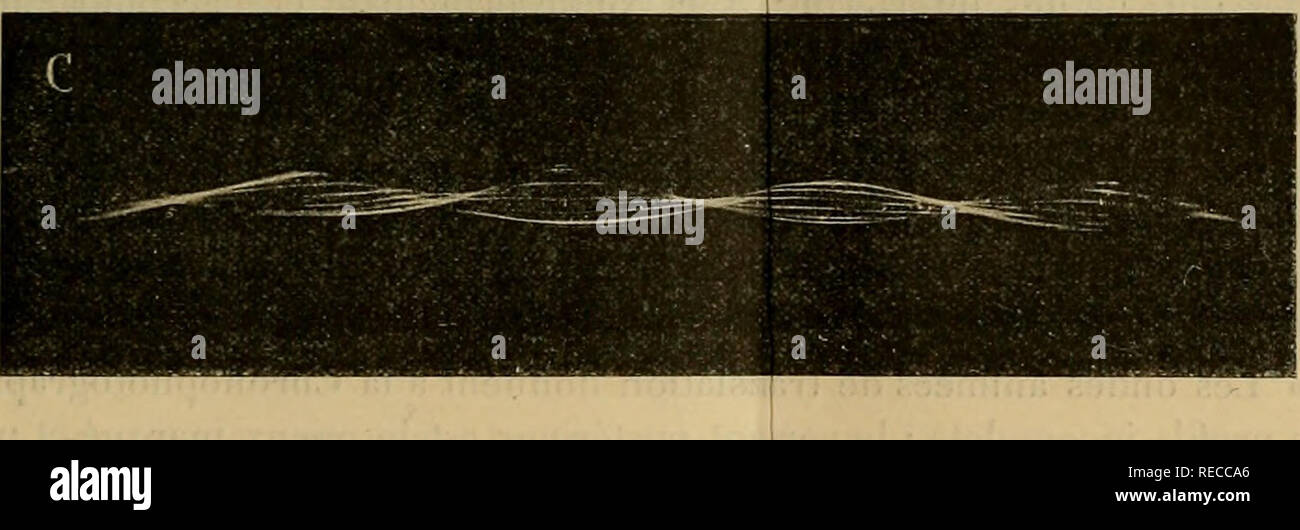 Profil creux hi-res stock photography and images - Alamy