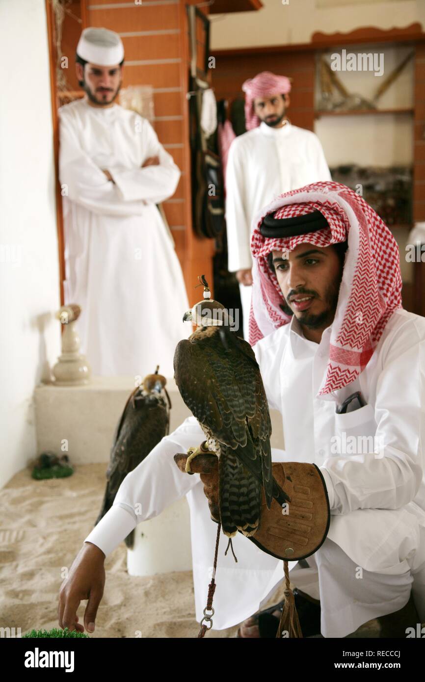 Falcon shop hi-res stock photography and images - Alamy