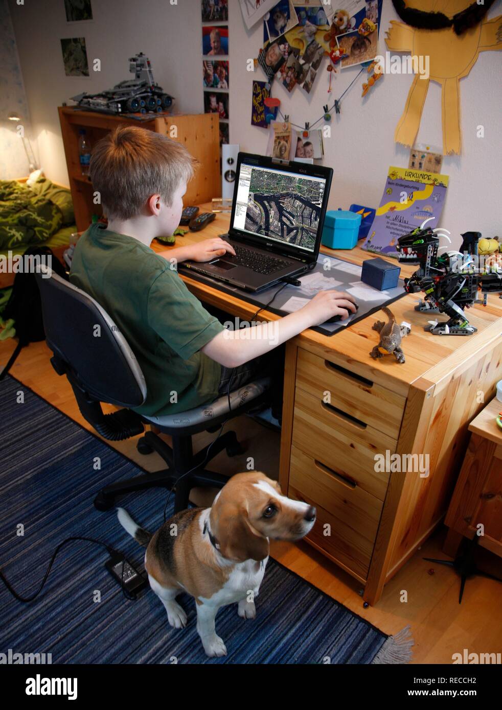 Boy, 11, working with his computer at home in his bedroom at a desk ...