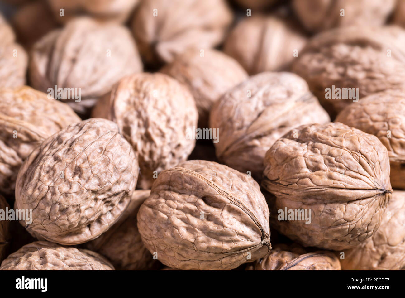 Walnut shell texture hi-res stock photography and images - Alamy