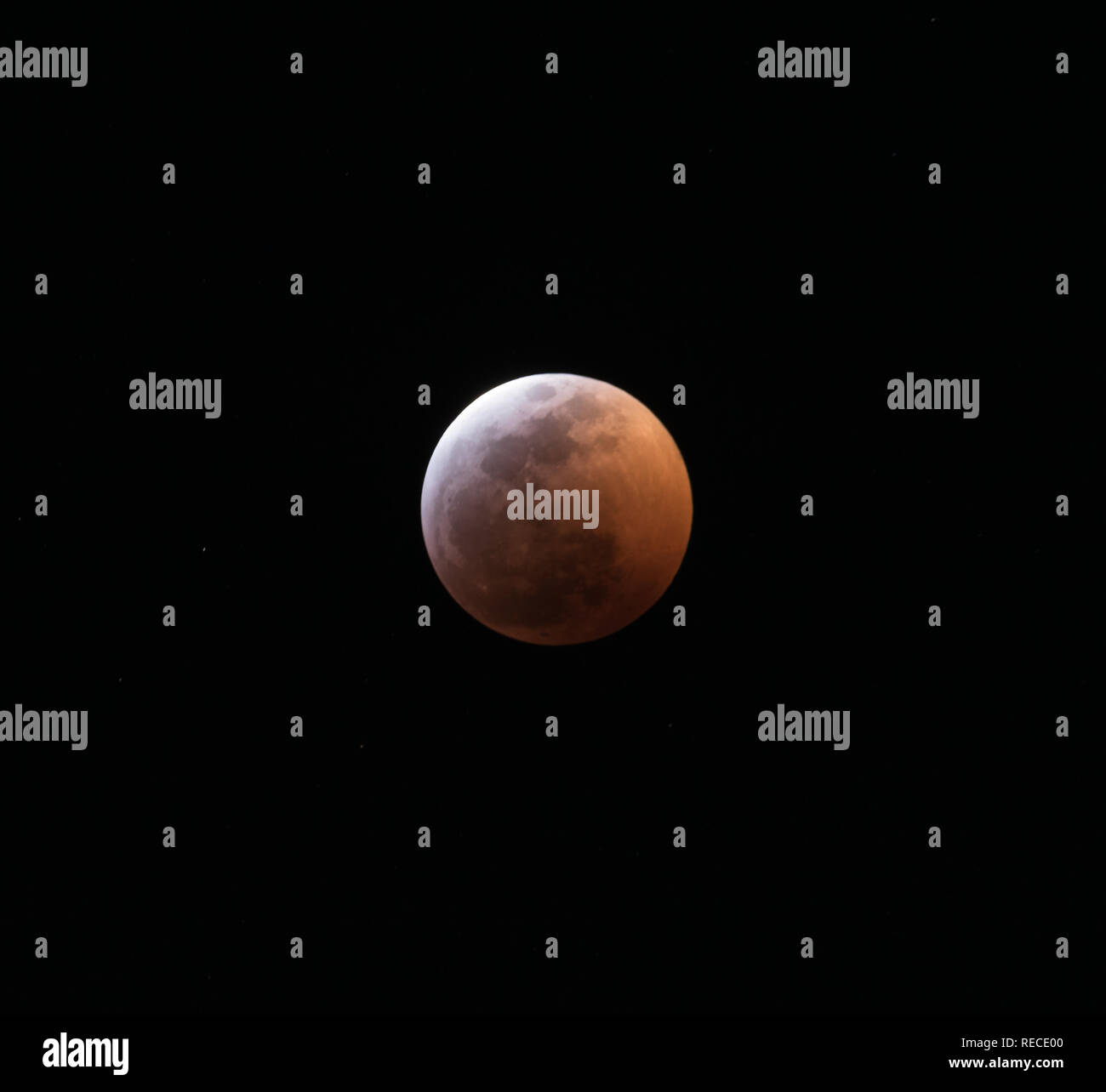 The Super Blood Wolf Moon Eclipse of 2019 Stock Photo - Alamy