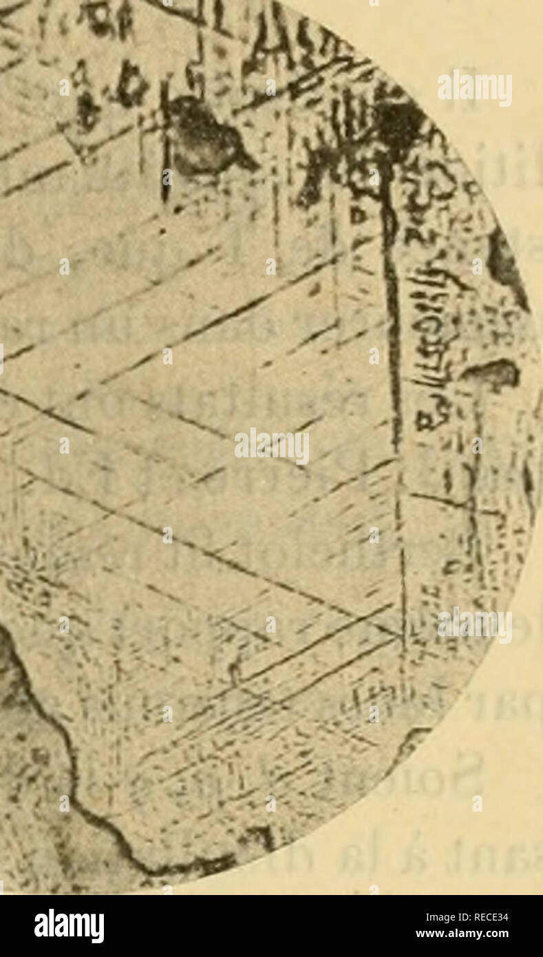 Troostite hi-res stock photography and images - Alamy