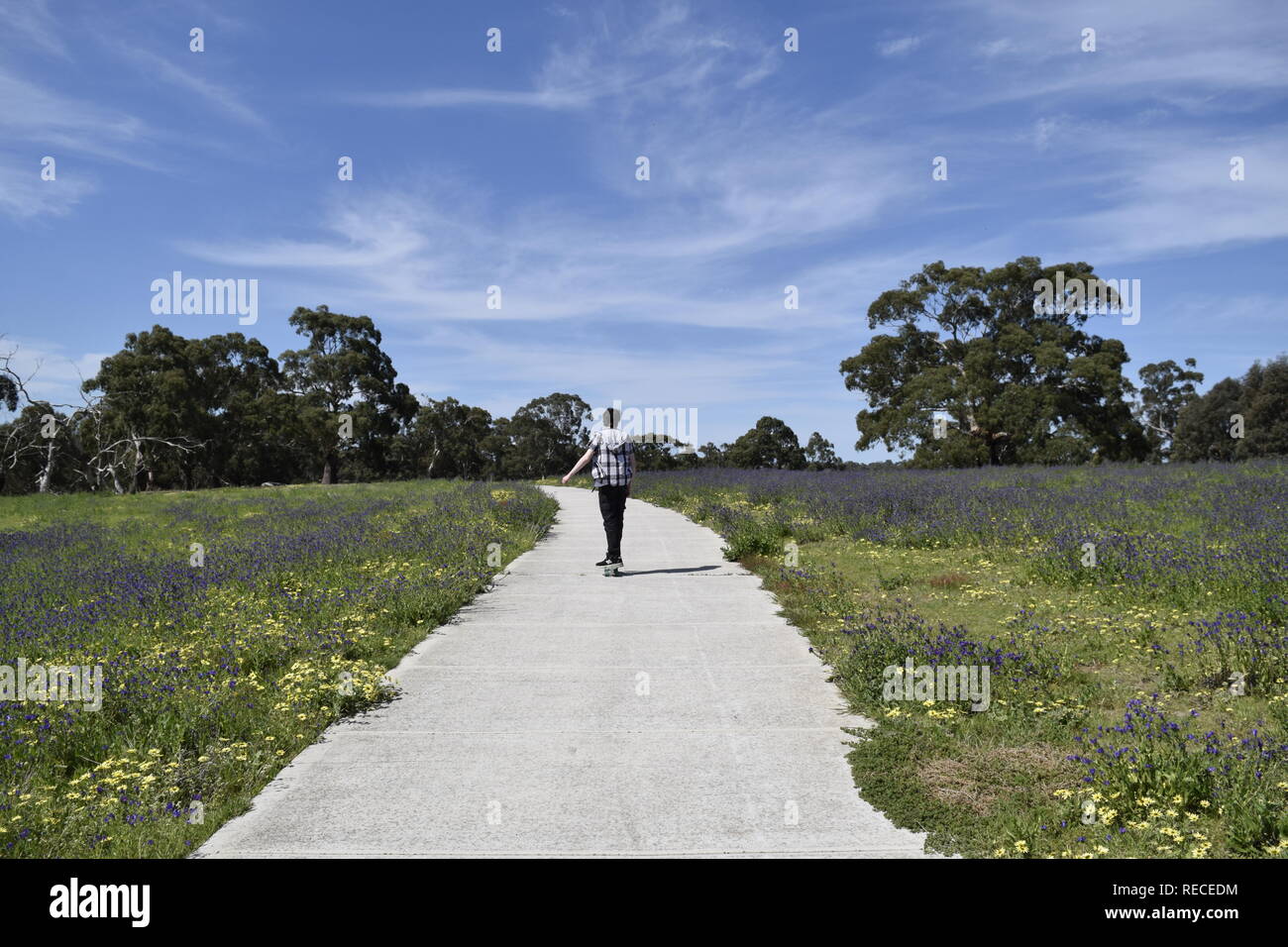 Melbourne yellow flowers hi-res stock photography and images - Alamy