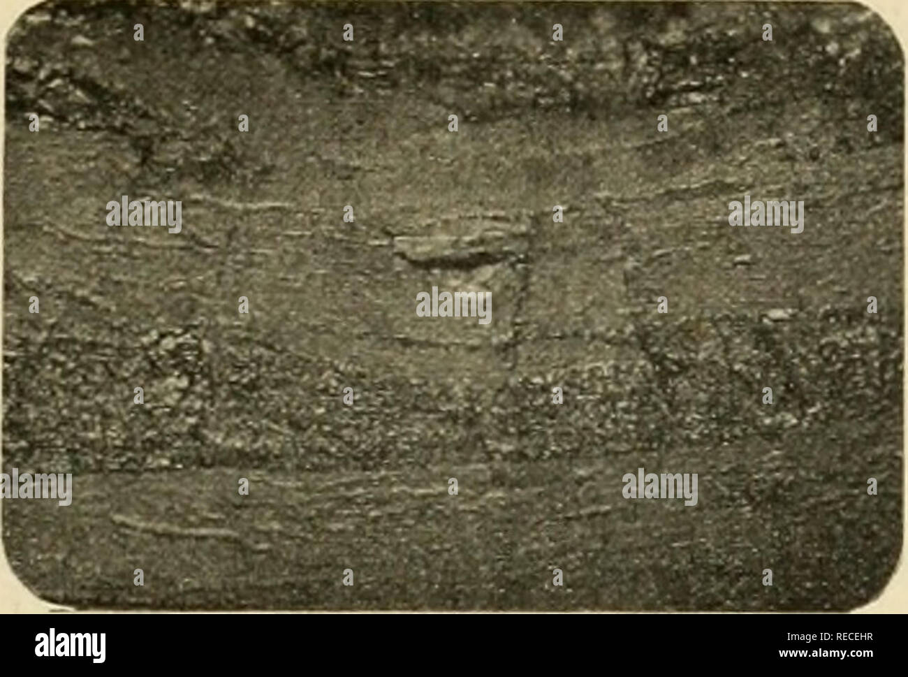 Caillage hi-res stock photography and images - Alamy