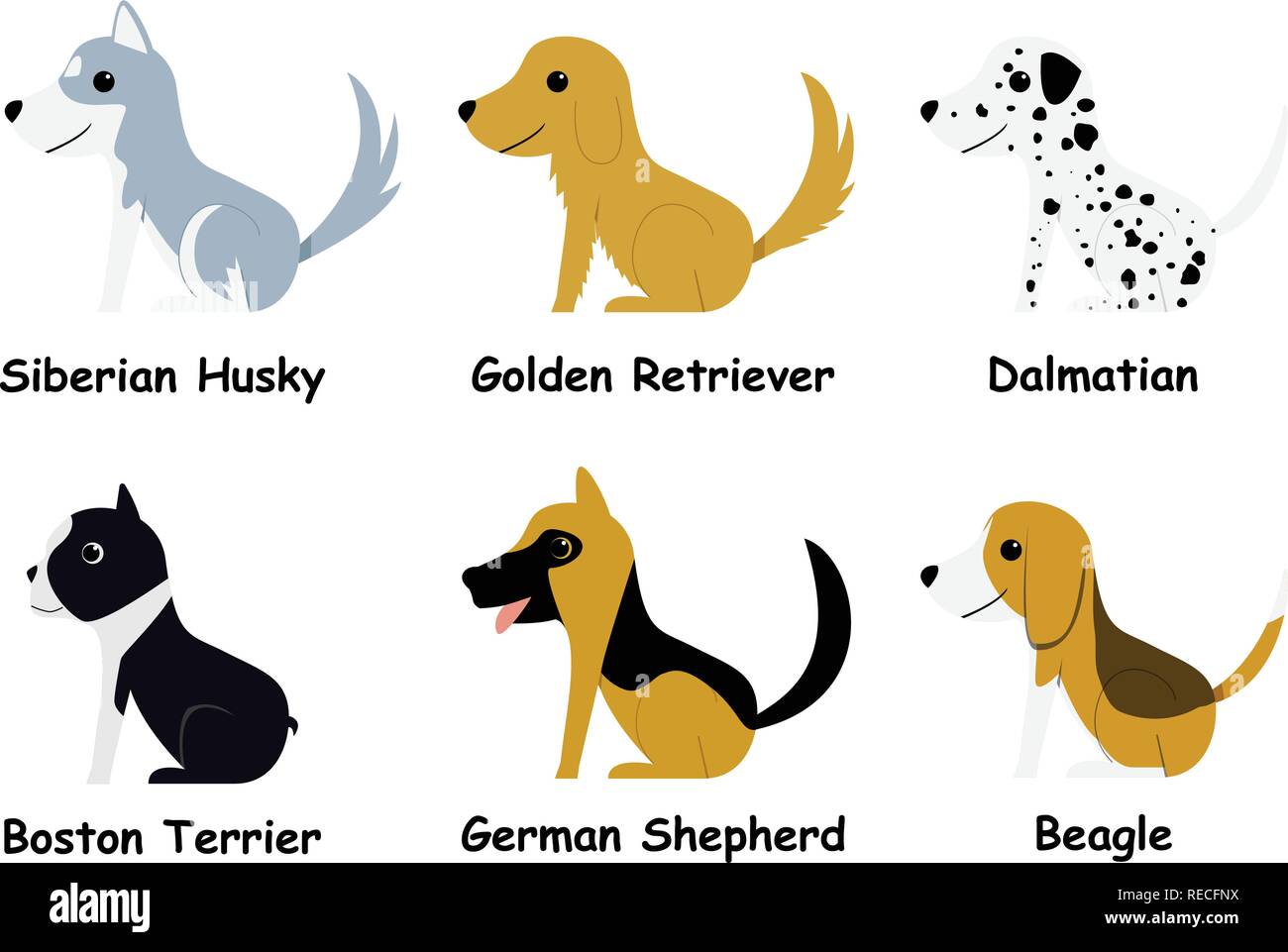 Set of puppy dog in flat style, side view, vector art Stock Vector ...