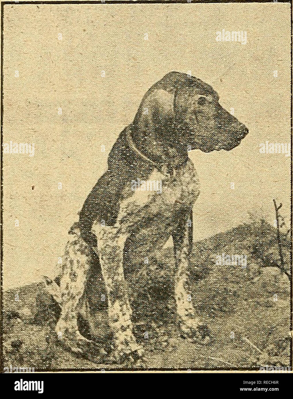 Chang ta chien hi-res stock photography and images - Alamy