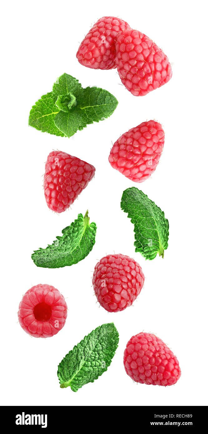 Flying fresh raspberry and mint leaves isolated on white background ...