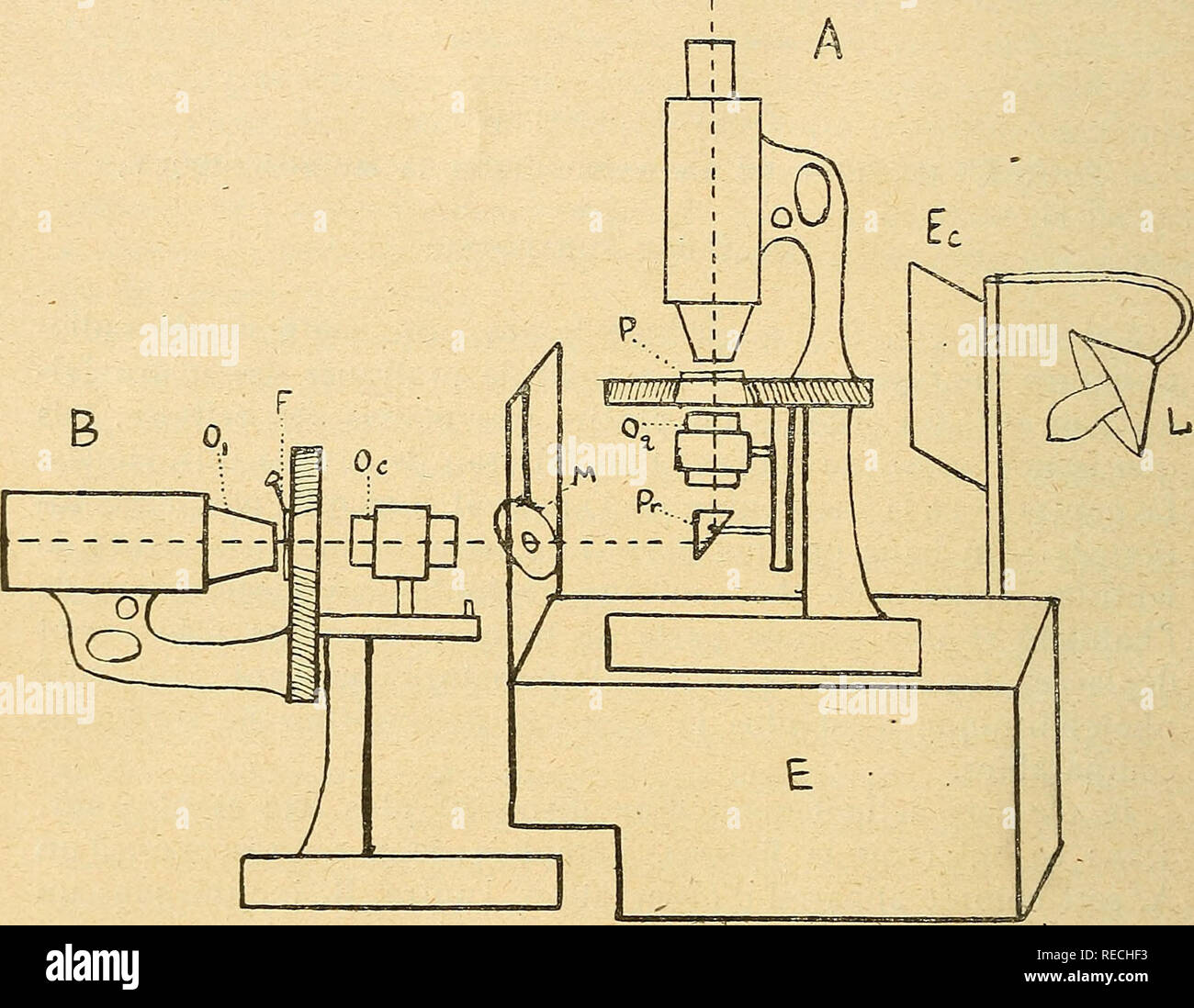 Monochromat hi-res stock photography and images - Alamy