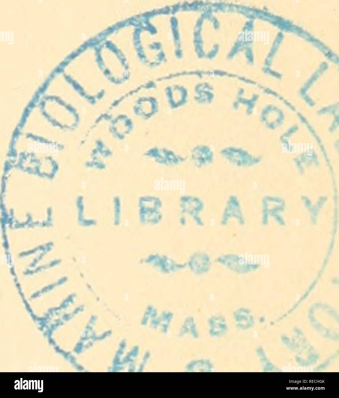 Conjonctivite chronique hi-res stock photography and images - Alamy