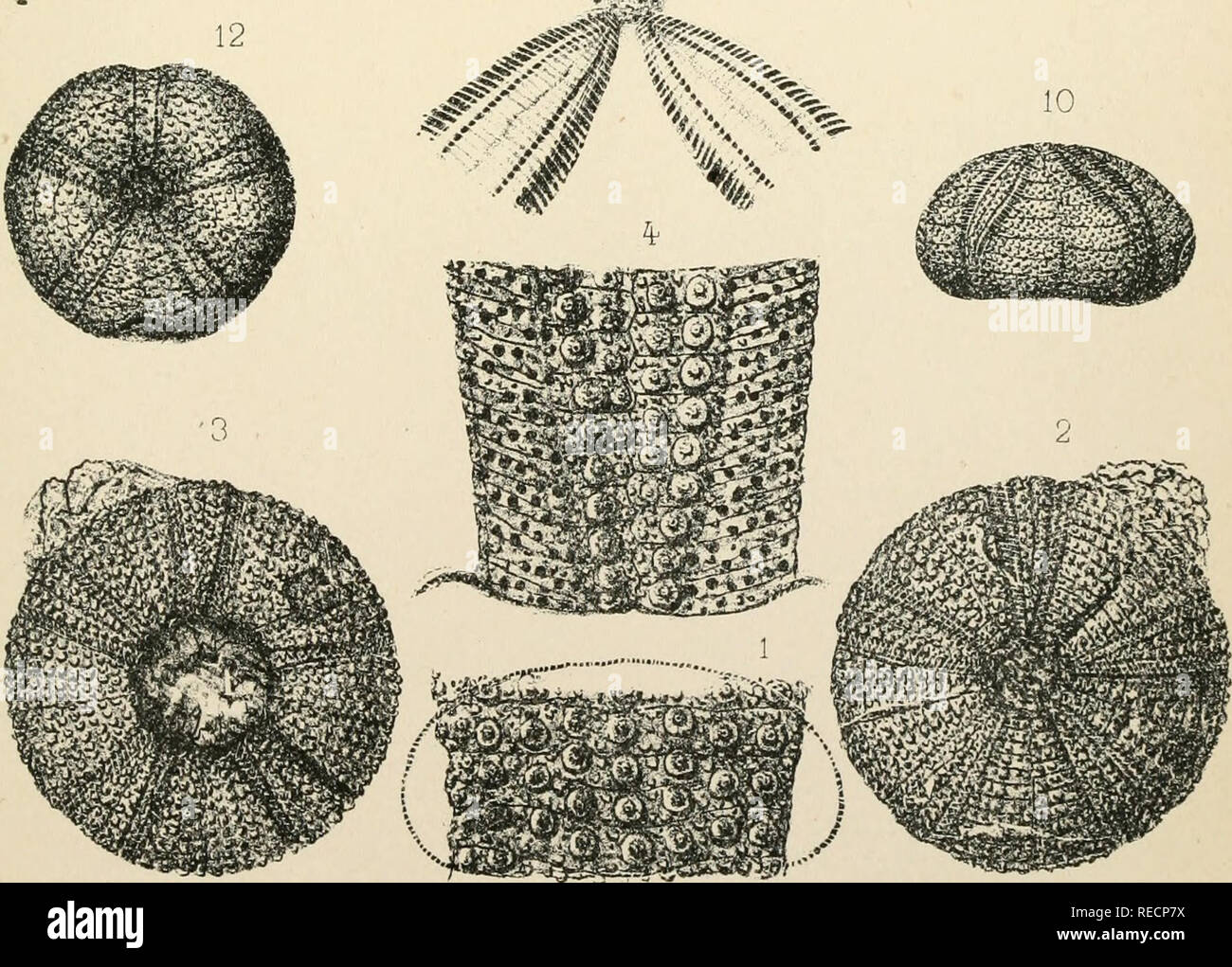 Hambert hi-res stock photography and images - Alamy