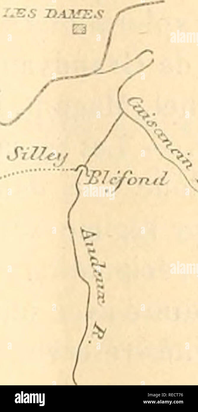 Carte da donna hi-res stock photography and images - Alamy