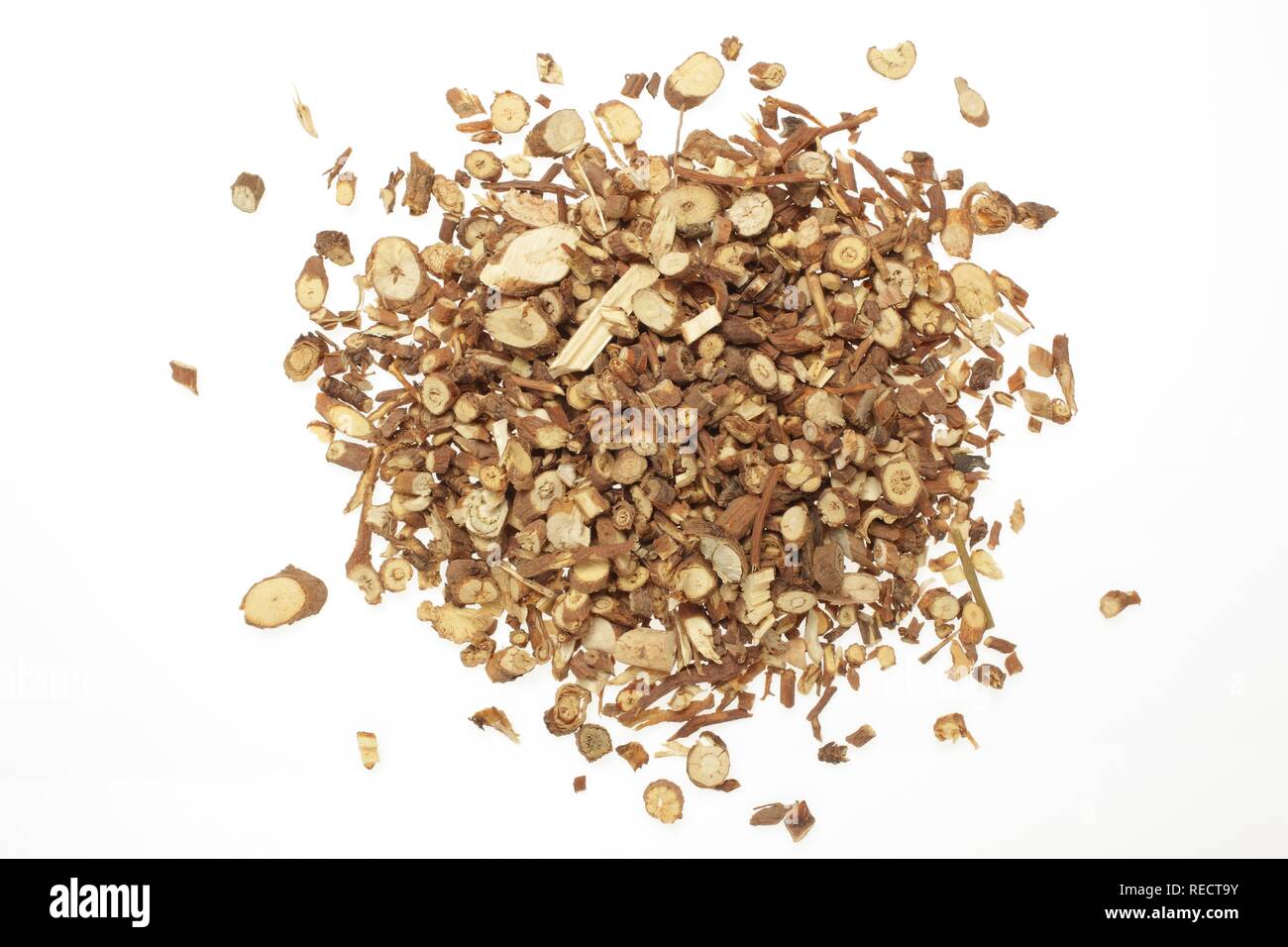 Bupleurum hi-res stock photography and images - Alamy