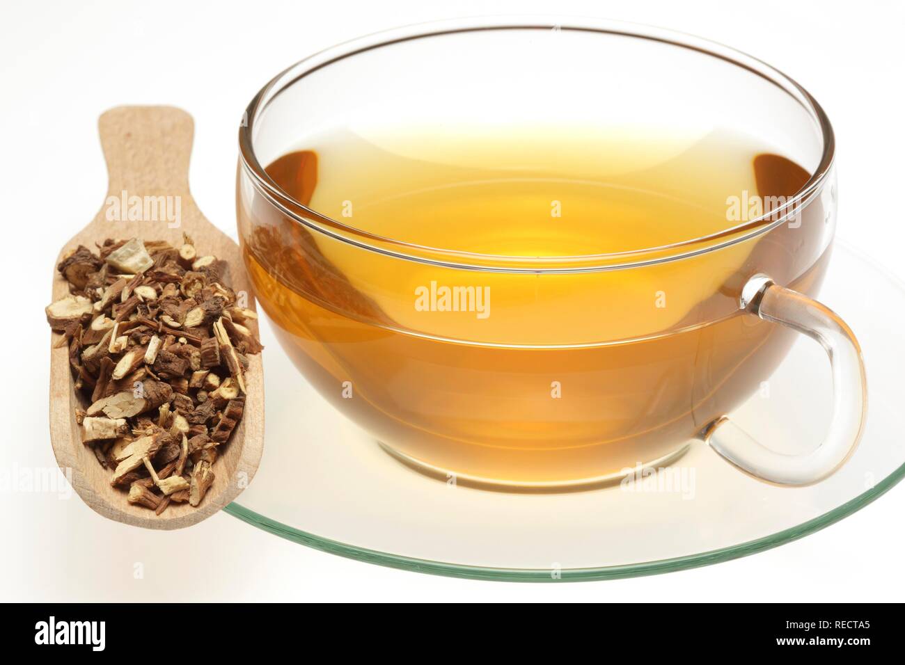 Chai plants hi-res stock photography and images - Alamy