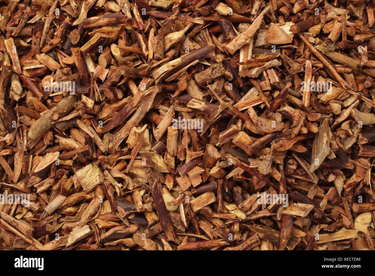 Locust bean hi-res stock photography and images - Alamy