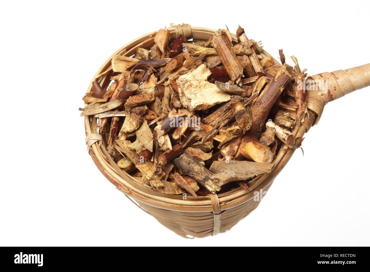 Dried Chinese honey locust, soap bean, (Gleditsia horrida sinensis ...