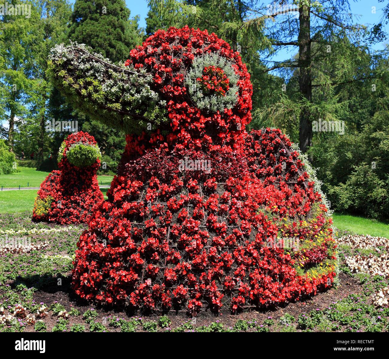 Island of flowers and birds hi-res stock photography and images - Alamy