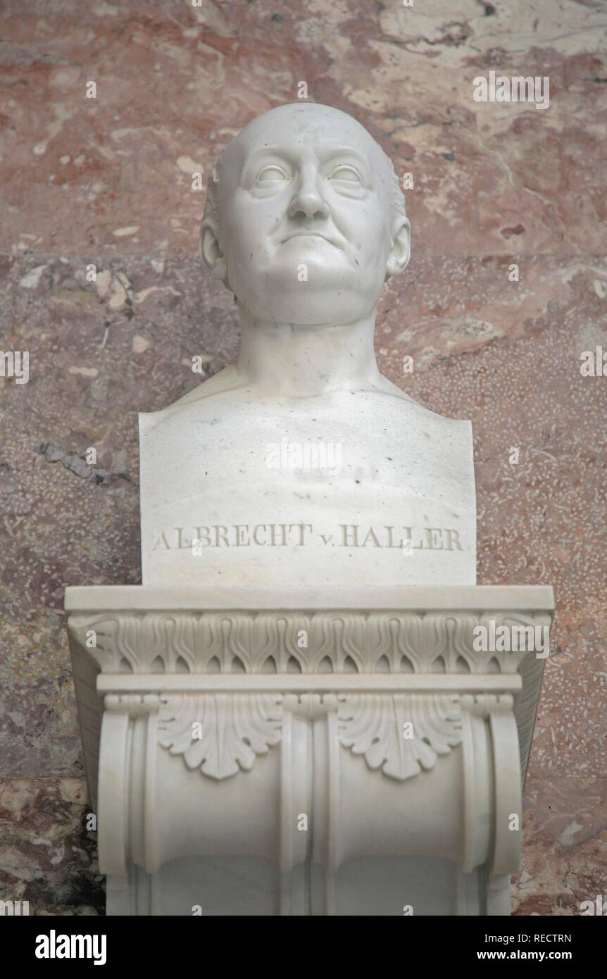 Bust of Albrecht von Haller, Swiss poet and scholar Stock Photo - Alamy