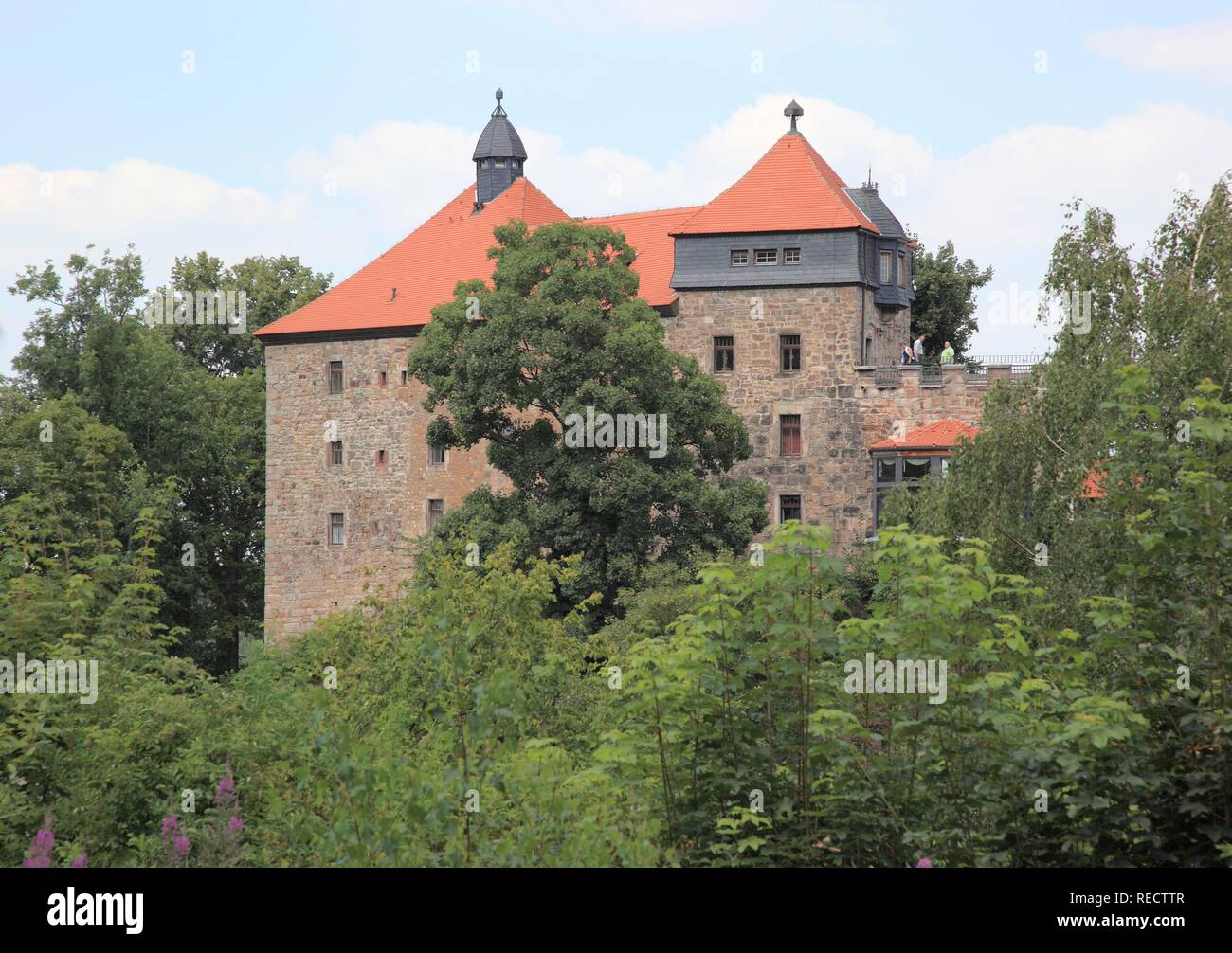 Schloss Elgersburg castle, Ilm-Kreis county, Thuringia Stock Photo - Alamy