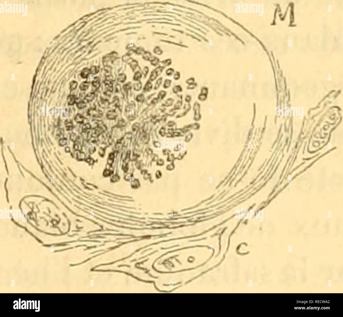 Colores de división hi-res stock photography and images - Alamy