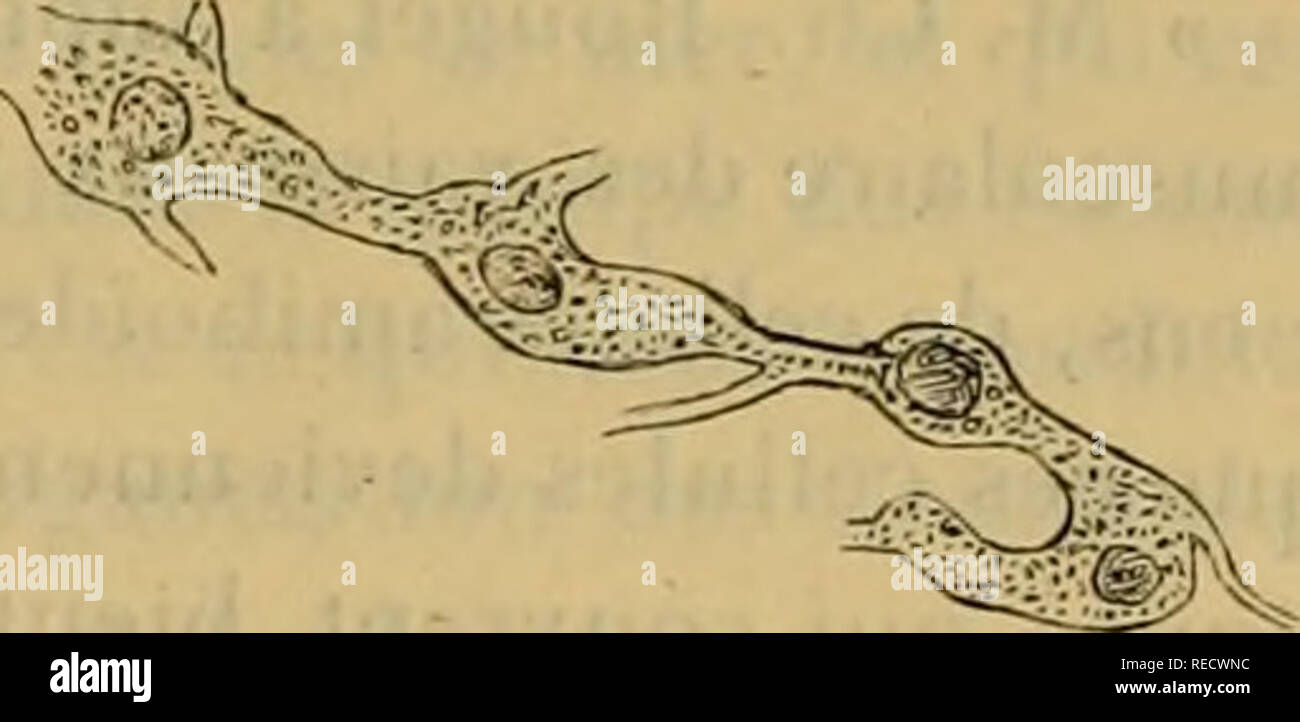 Ta carta hi-res stock photography and images - Alamy