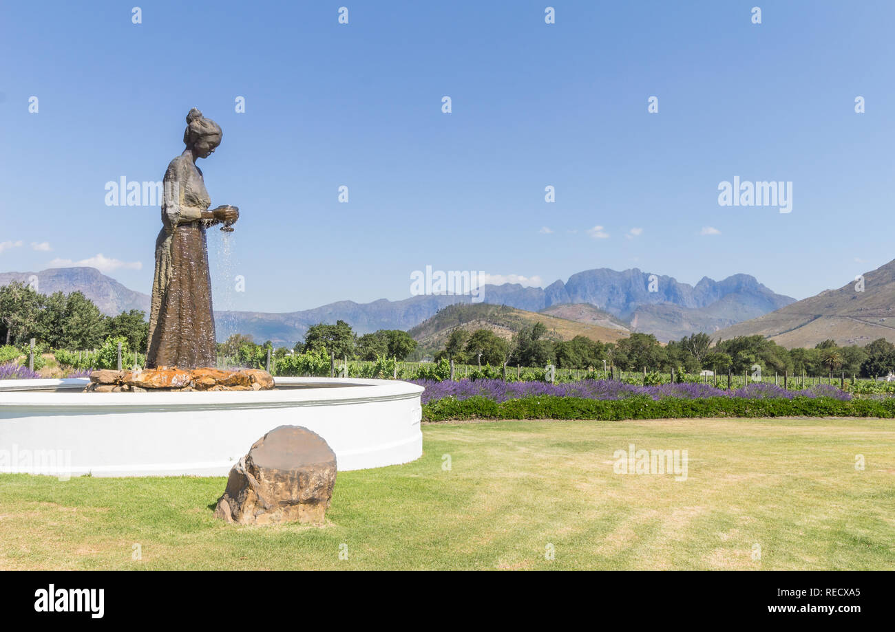 La Motte wine estate, Franschhoek, Western Cape, South Africa with ...