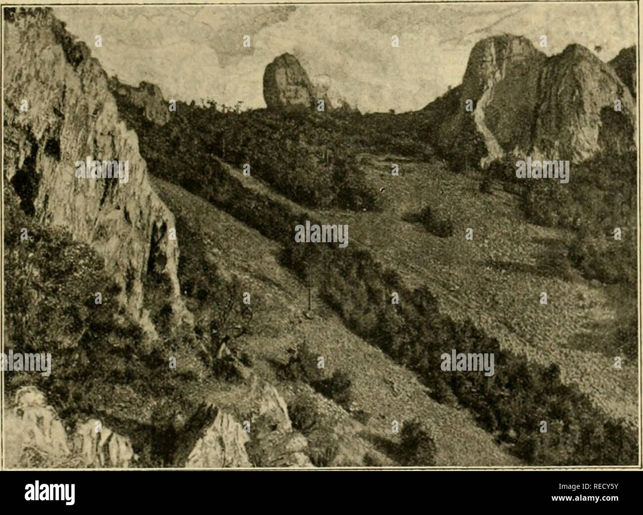 La taie hi-res stock photography and images - Alamy