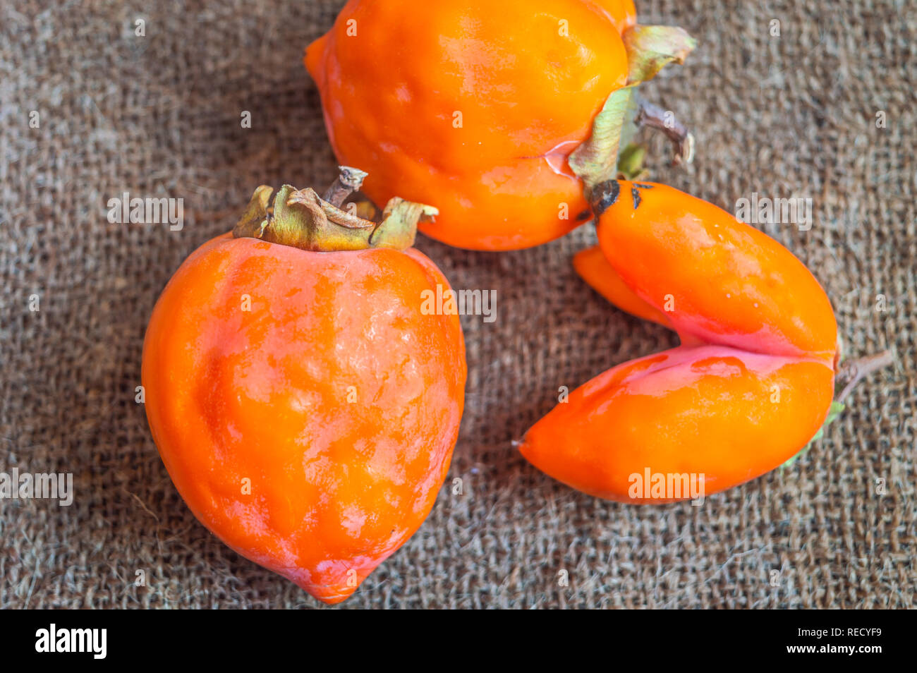 Close up top view of bright orange Persimmons fruit kept on a jute mat ...