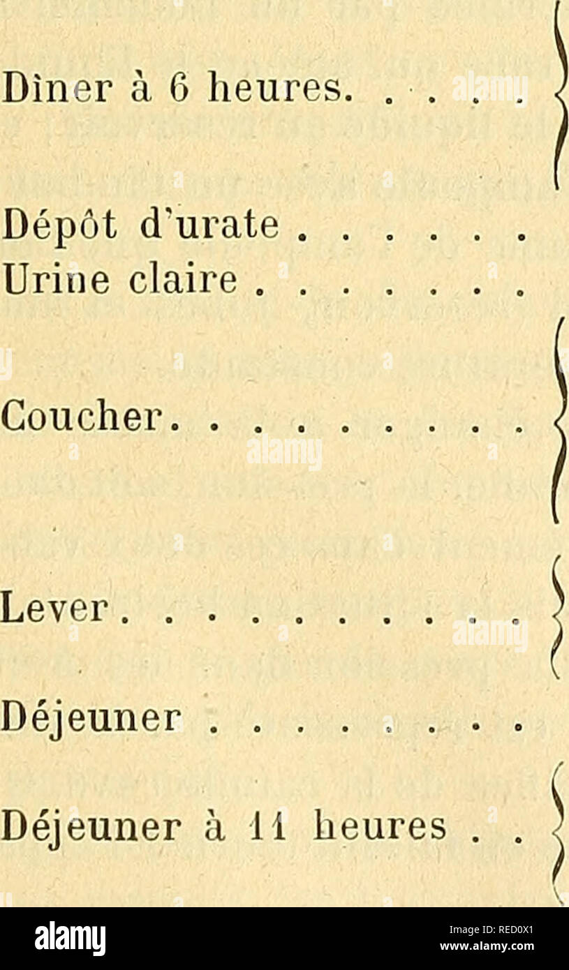 Levures microscope hi-res stock photography and images - Alamy