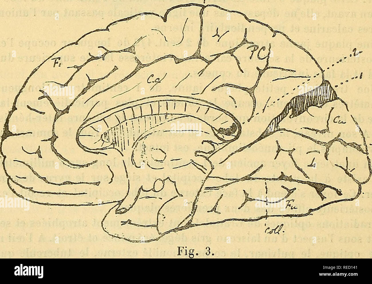 La merie hi-res stock photography and images - Alamy
