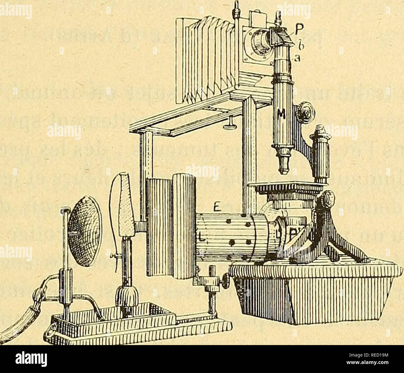 Microscope photographique hi-res stock photography and images - Alamy