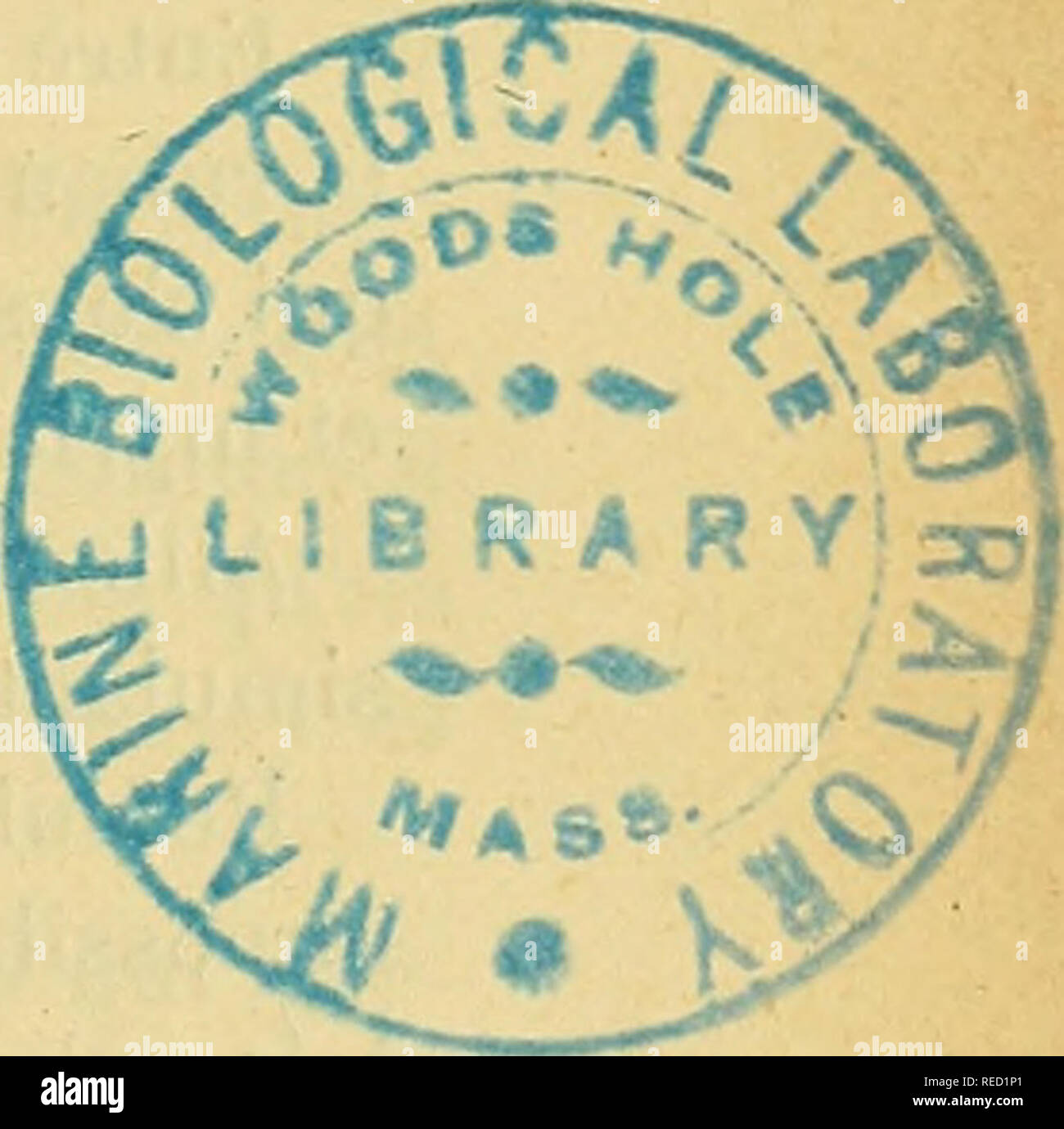 Structure des globules rouges hi-res stock photography and images - Alamy